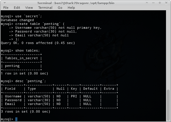 Master of SQLi: MySQL Command Line