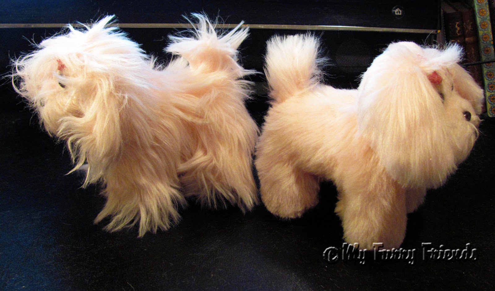 Pet Grooming: The Good, The Bad, & The Furry: "You Have Totally Lost It!"