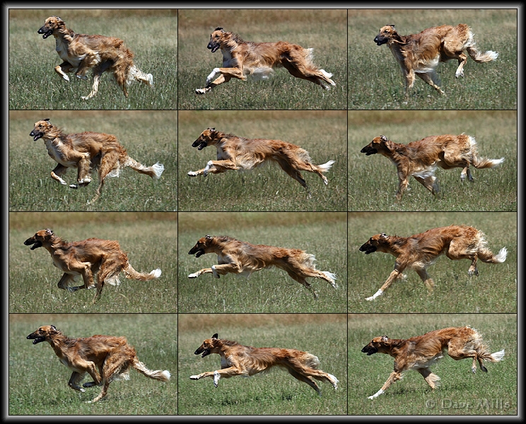 The Art of ArtManimal . . .: August 2013