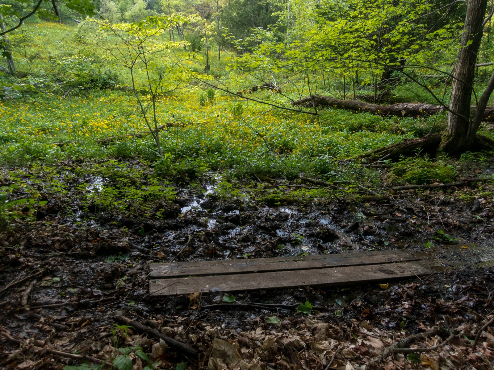 Eric's Hikes: Jordan River Pathway/NCT loop