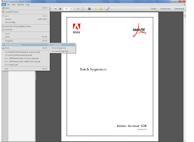 Custom-made Scripts for Adobe® Products: Acrobat/Reader -- Print PDF ...