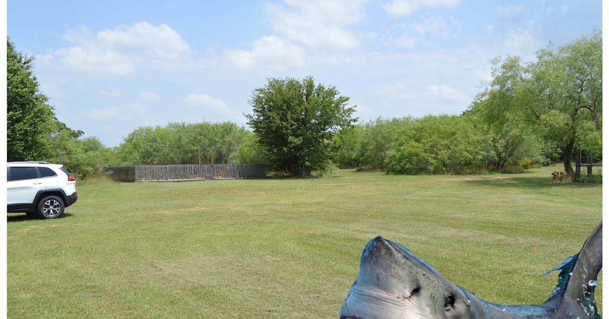 Two Men and a Little Farm: SHARK WEEK 2017