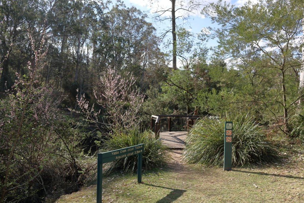 National Park Odyssey: Peach Trees Camping Area, Jimna State Forest, QLD.