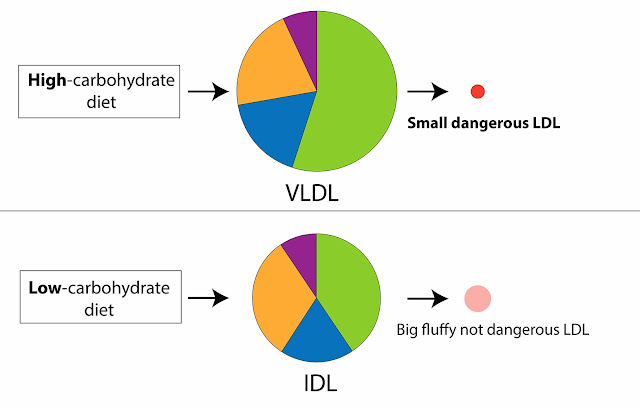 BIG FAT BLOG: About Cholesterol