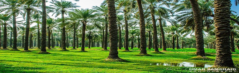 Jhang Sadar History || History Of Jhang Sadar ~ Jhang Sadar