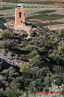 BICHOS Y MAS VLC: DE PASEO POR ALMENARA: EL CASTILLO