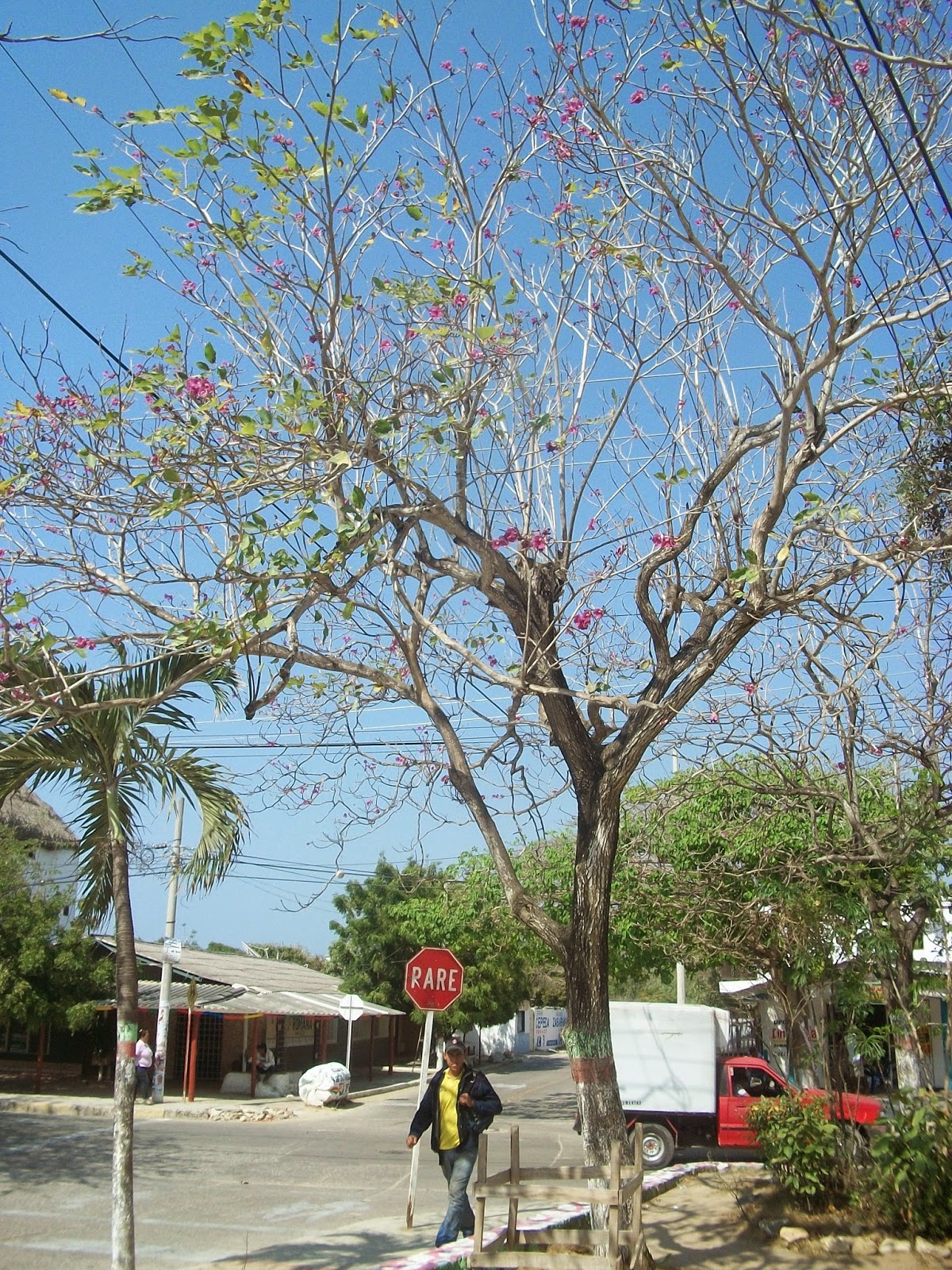 Taller de Arquitectura: Juego Infantil