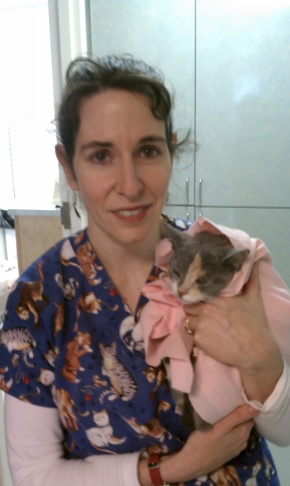 Purr-Views: Post Op Report on Operation CatSnip