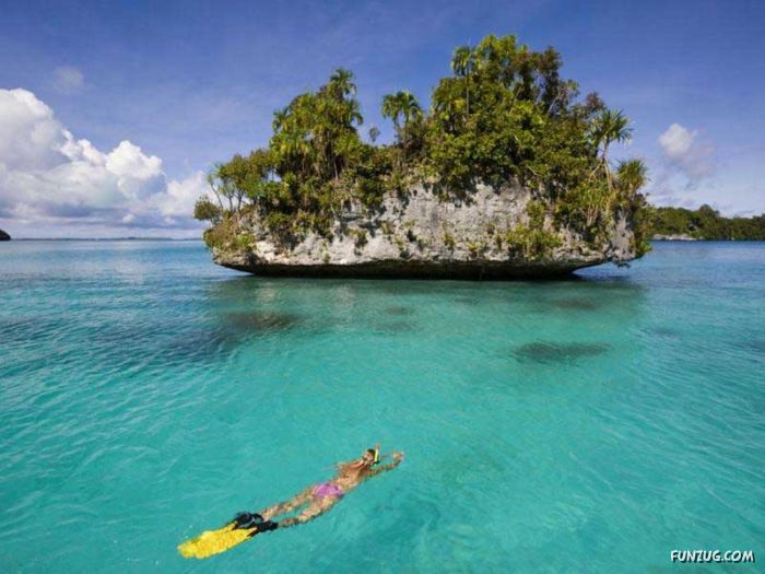 The Life: Beautiful Nature At Palau
