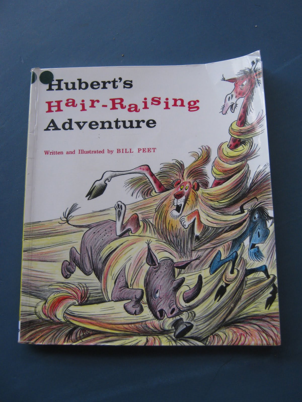 Room 9 you shine all the time: Hubert's Hair Raising Adventure