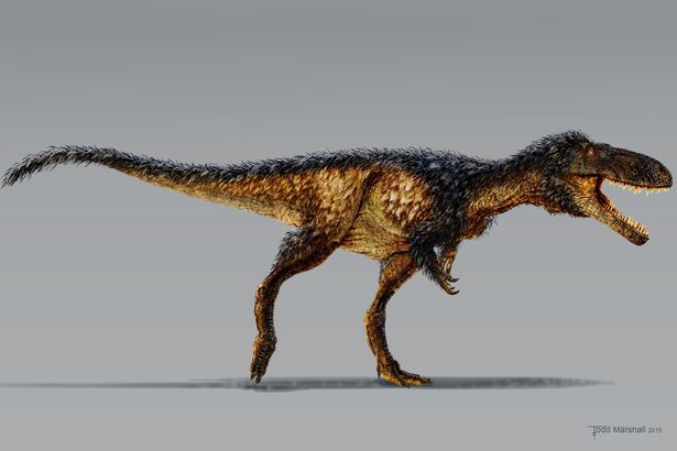 KARAKALPAKSTAN BLOG: Dinosaurs of Uzbekistan - Timurlengia euotica