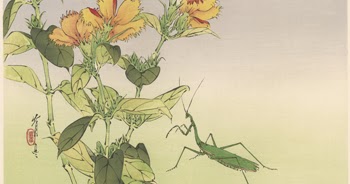 Two Birds in a Tree: Symbolism: Praying Mantis