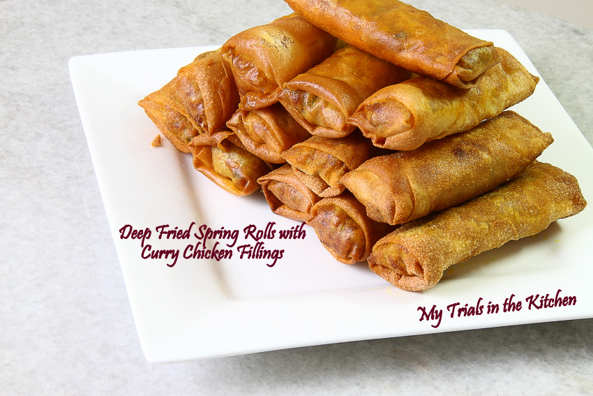 My Trials in the Kitchen: Deep Fried Spring Roll with Curry Chicken ...