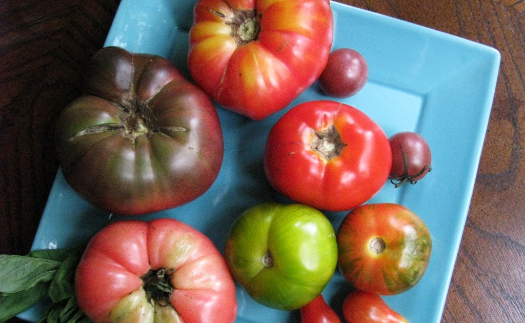 Got Buzz @ Kurman Communications: Slow Food Chicago celebrates Tomatoes ...