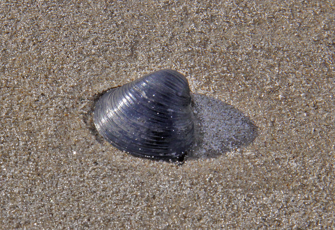 Garnie McEwen Photography: 02/25/13