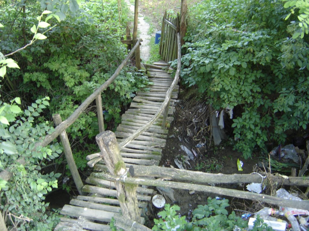 Old European culture: July 2017