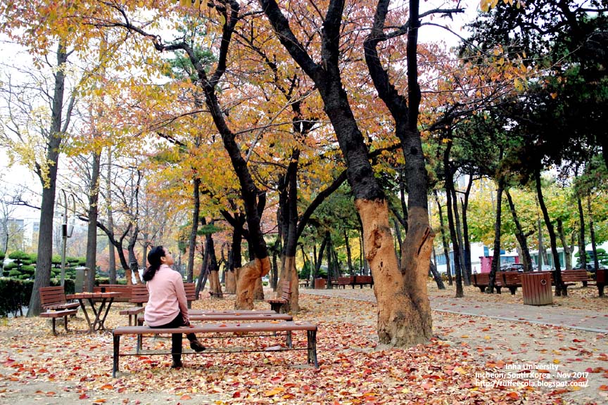 travel tales: South Korea: Incheon: Inha University