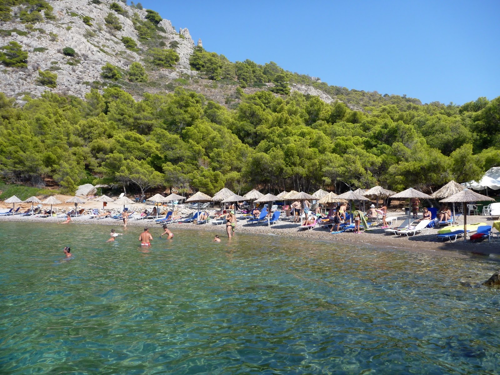 A Place Called Space: Swimming in Hydra