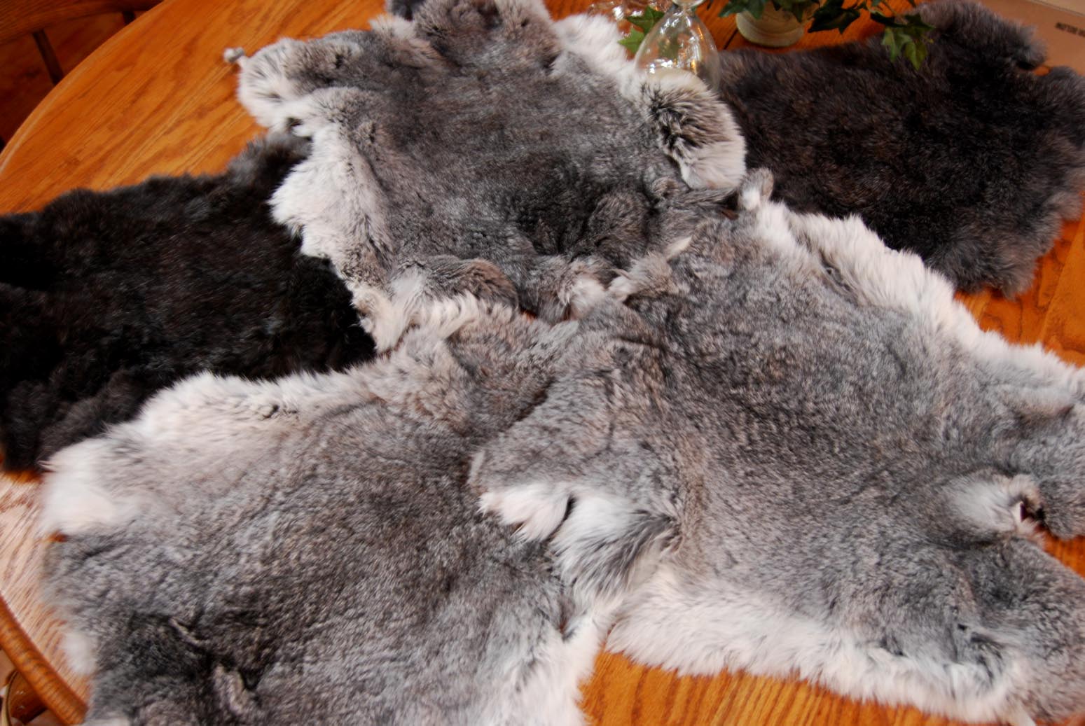 Applegarth Farm: Rabbit Fur Tanning