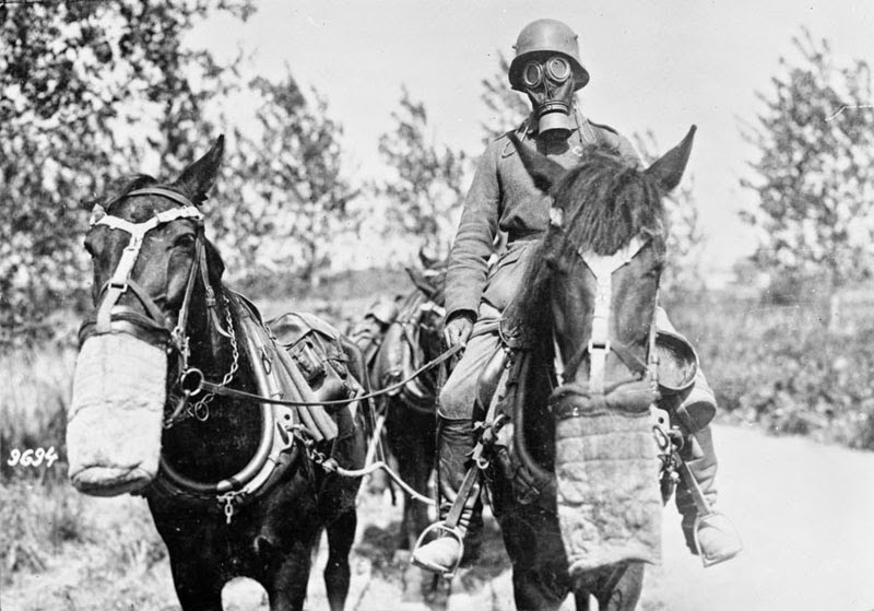 15 Animals That Served in the First World War ~ Vintage Everyday