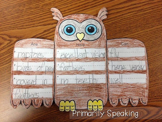 Whoooo Loves Owls? | Primarily Speaking