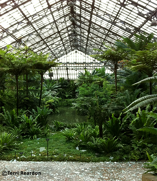 Garfield Park Conservatory Storm Damage and How You Can Help : MrBrownThumb