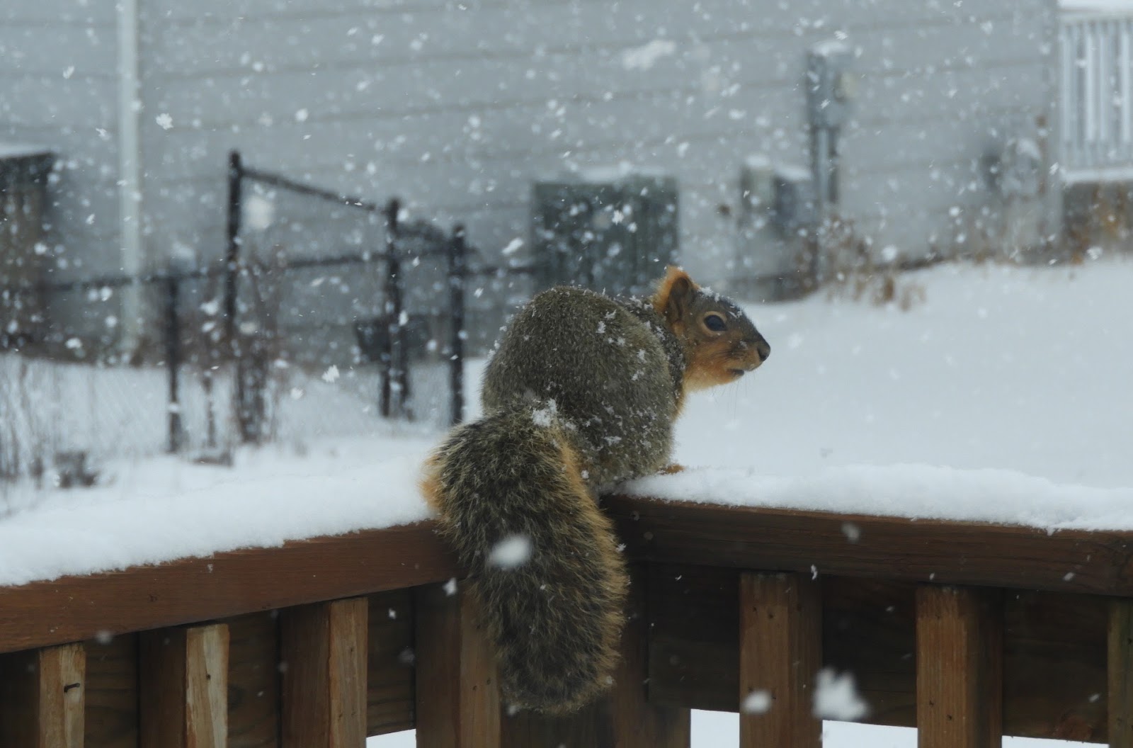 Larry's Creative Zone: Snow be Gone......