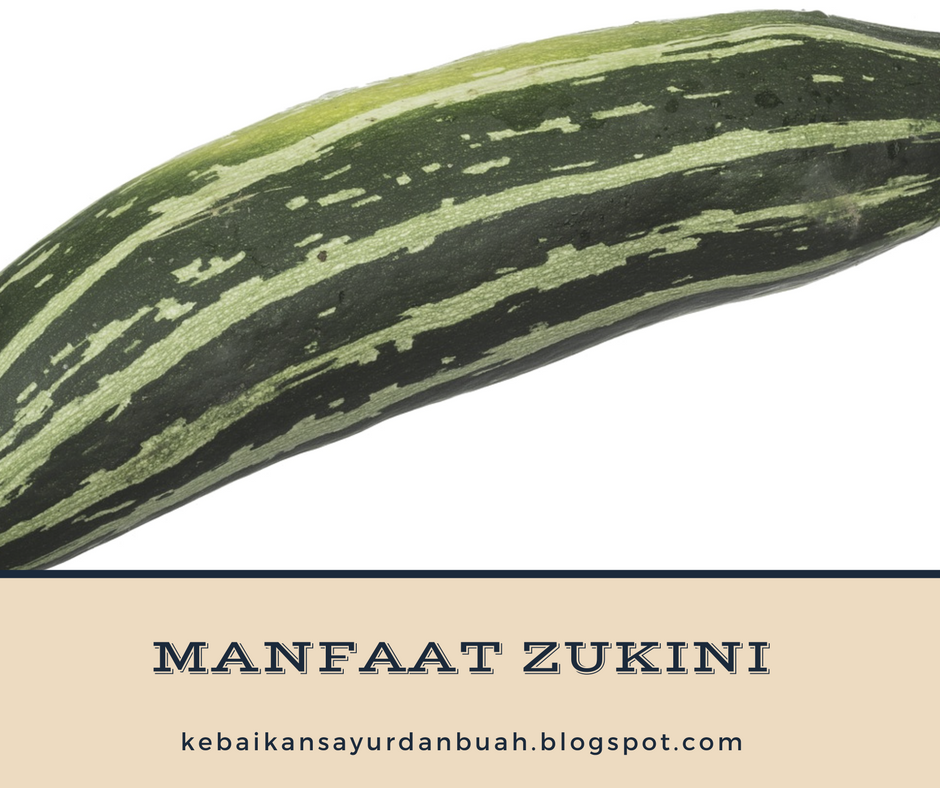 Inilah 8 manfaat Zukini bagi kesehatan, efek samping serta faktanya ...