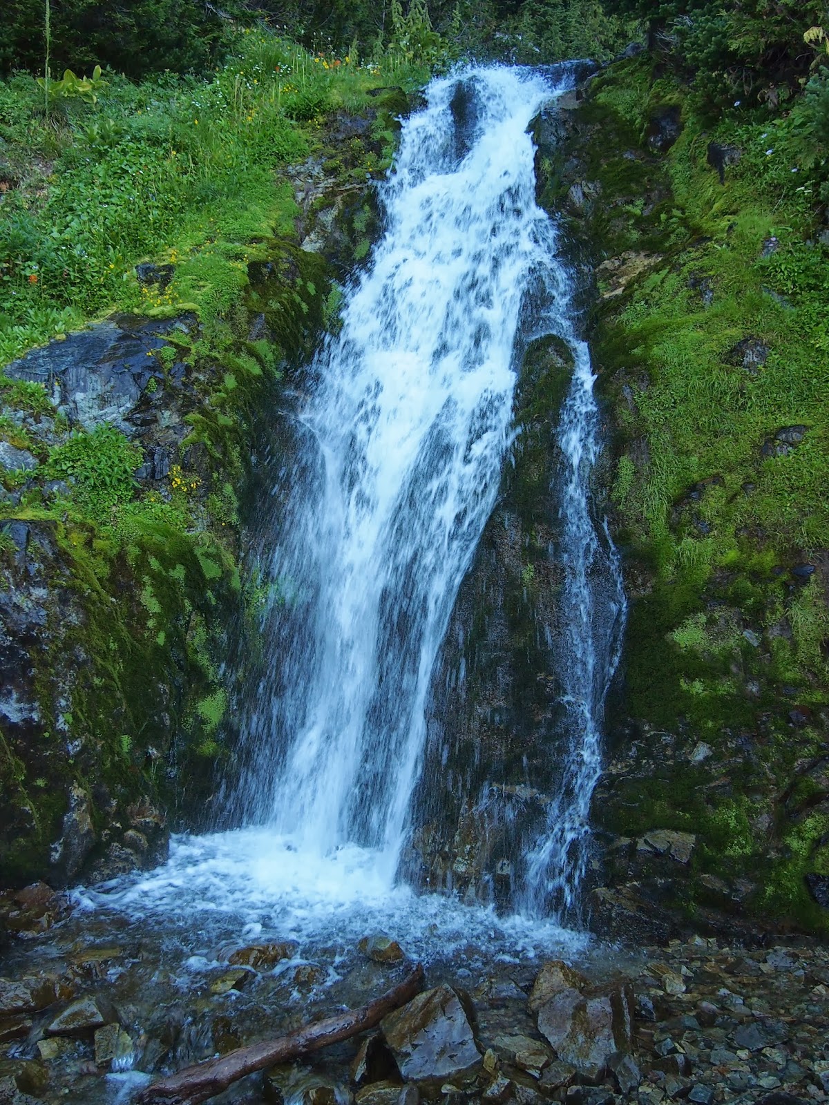 Sierra Hikes!: Day 137: Cispus River to White Pass
