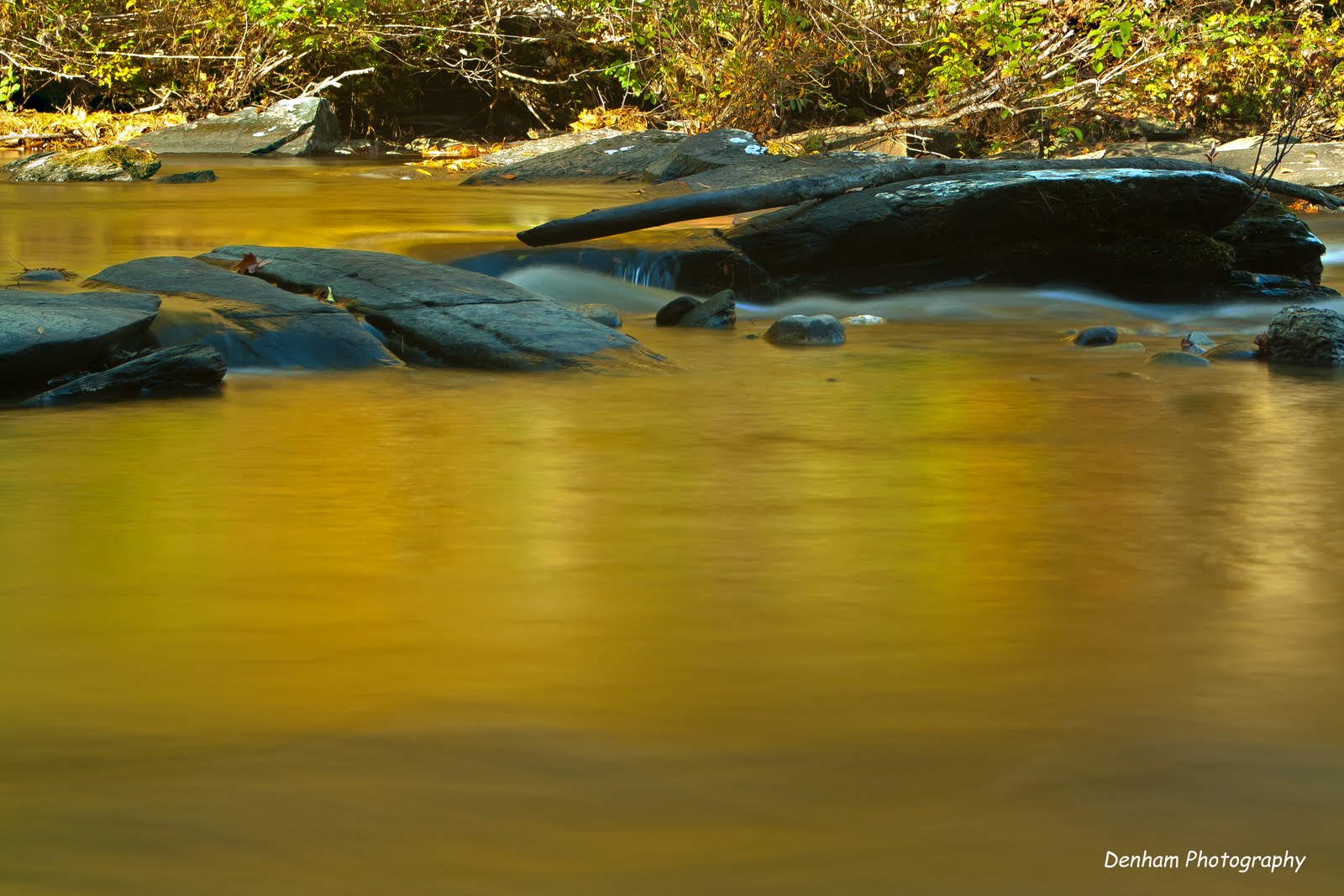 Denham Photography: GOLDEN RIVER