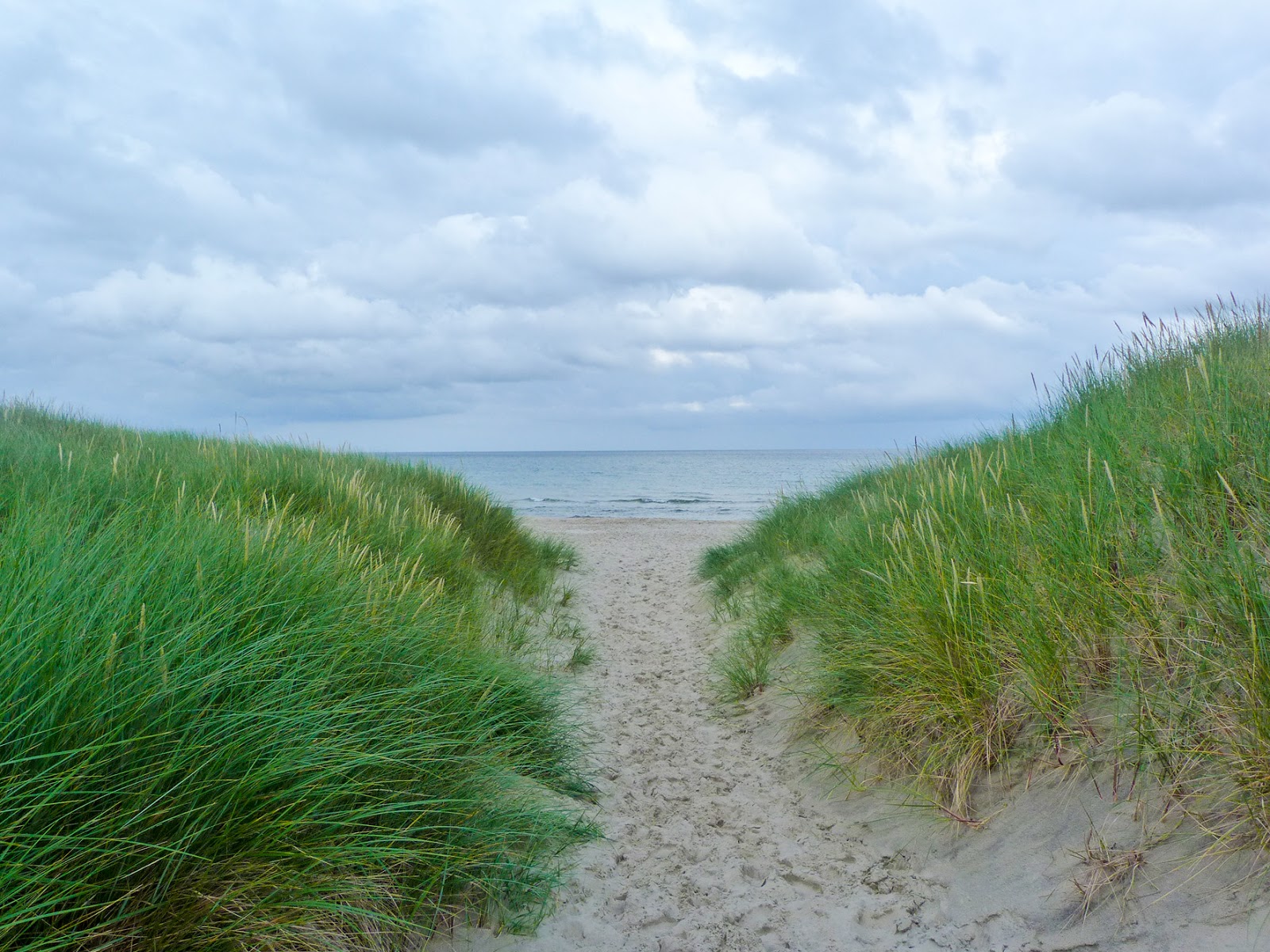 Skagen - Where Two Seas Collide |Blissful Solitary Wanderings