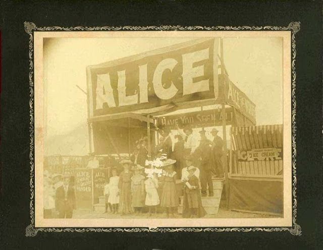 Amazing Vintage Photographs of the 'Minnesota Woolly Girl' Alice ...