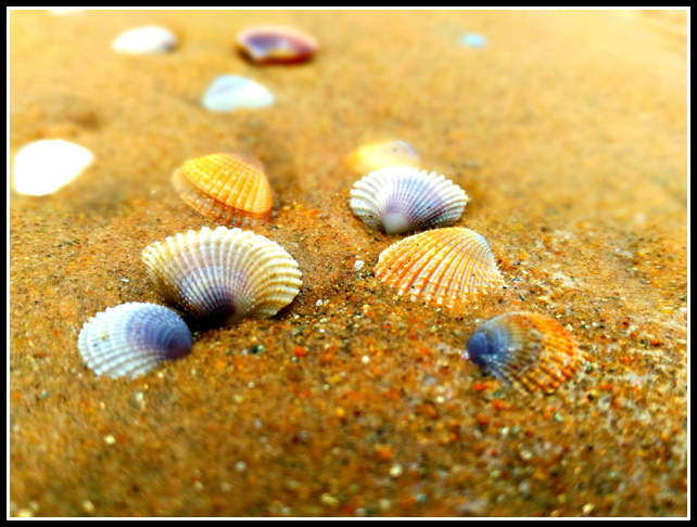 The Traveller: Digha ~ Popular beach destination of Bengal
