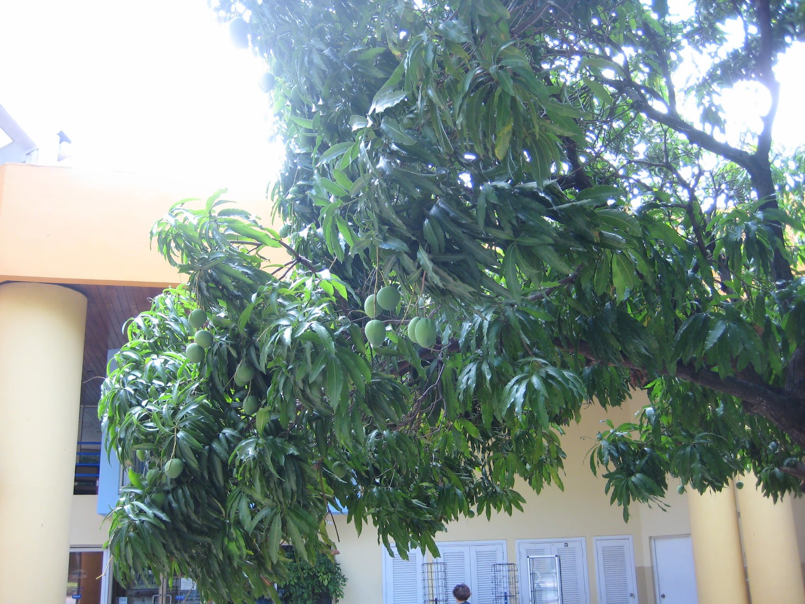 One Week in Cuba: Miscellaneous Photos