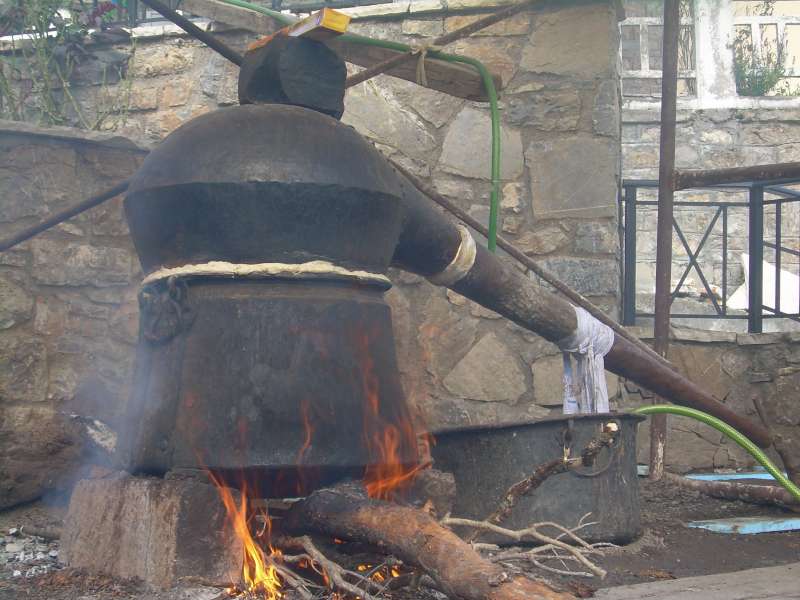 Μαρίνα Διαμαντοπούλου: Παραδοσιακή απόσταξη τσίπουρου στου Σέρβου Γορτυνίας