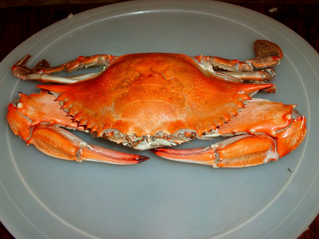 El Fogón de Leña: Jaibas rellenas a la vizcaína, una delicia.