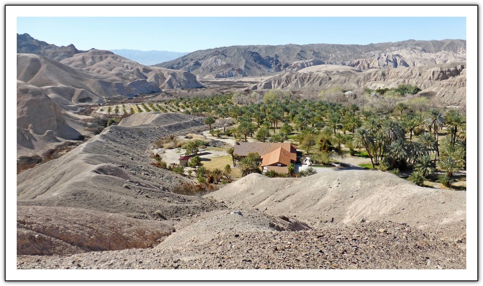 Ken's Photo Gallery: China Ranch - Date Farm - Trip Notes for 02/28/2018