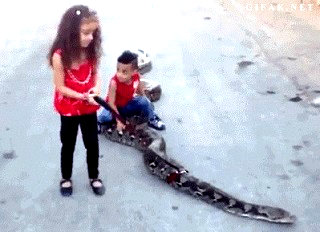 BCN: VIDEO: Kids Ride A Giant Snake