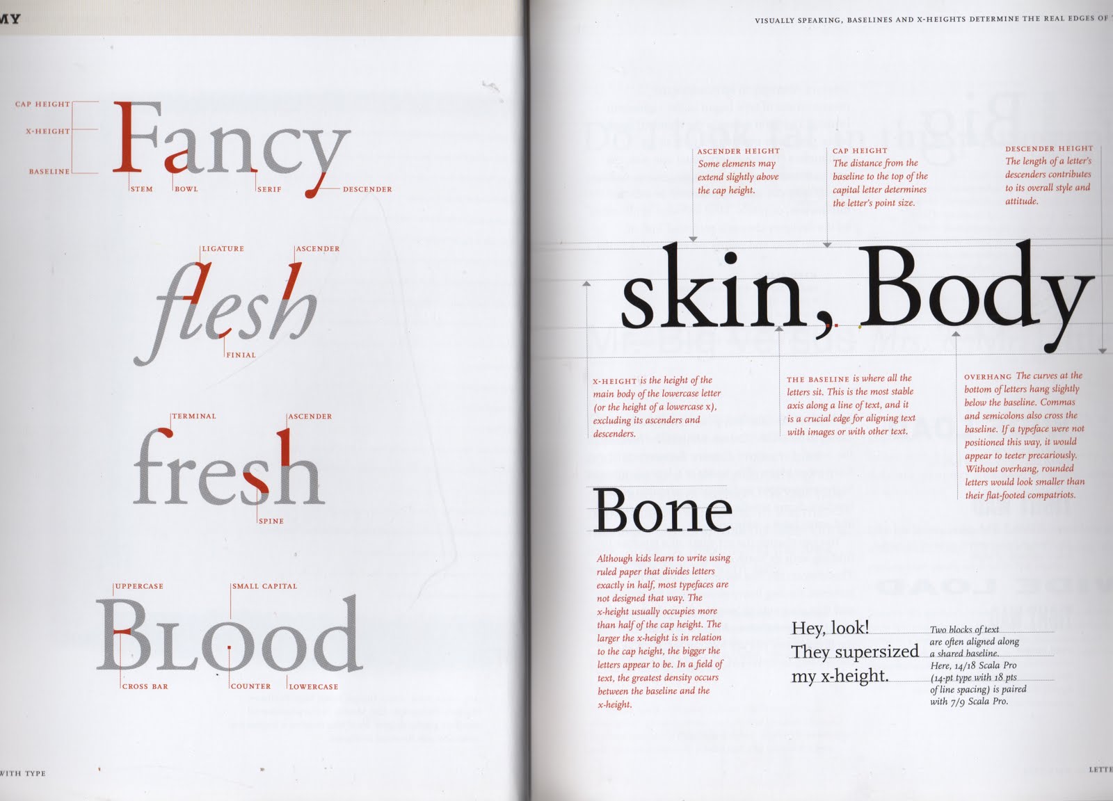 Design Practice: Type and grid