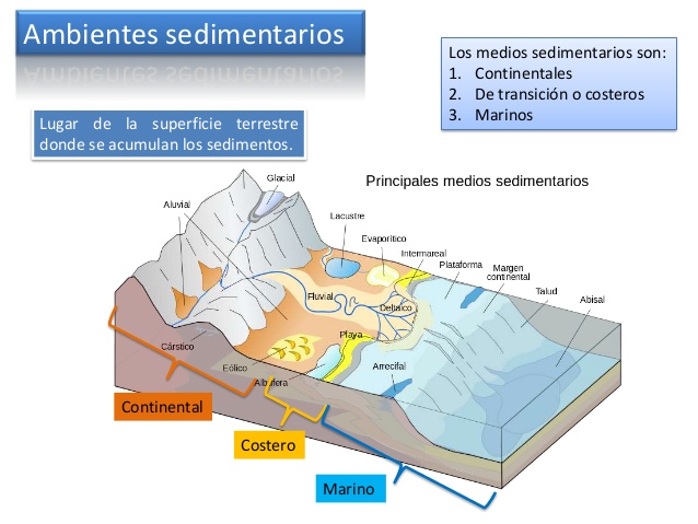 Ambiente Sedimentario