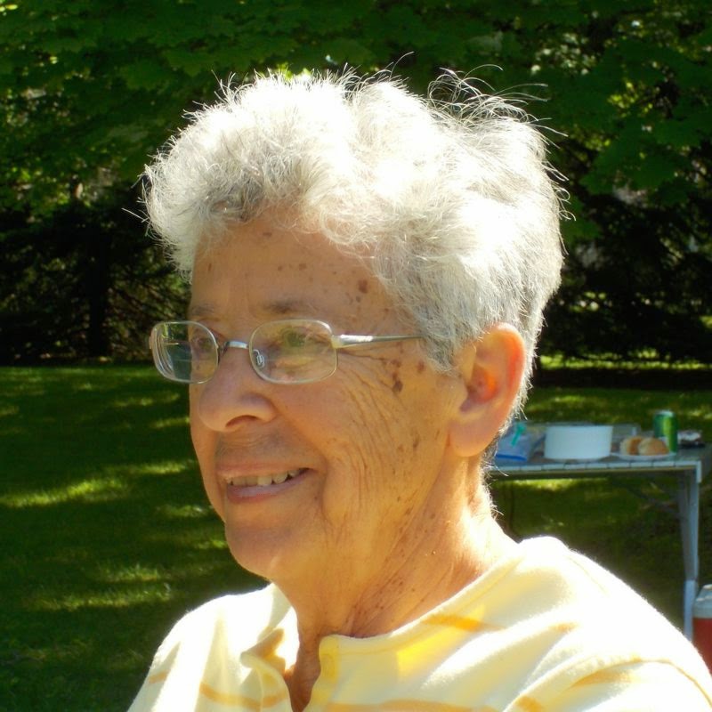 Reluctant Rebel: Sister Mary Ann "Dee" DeFrancesco, RSM