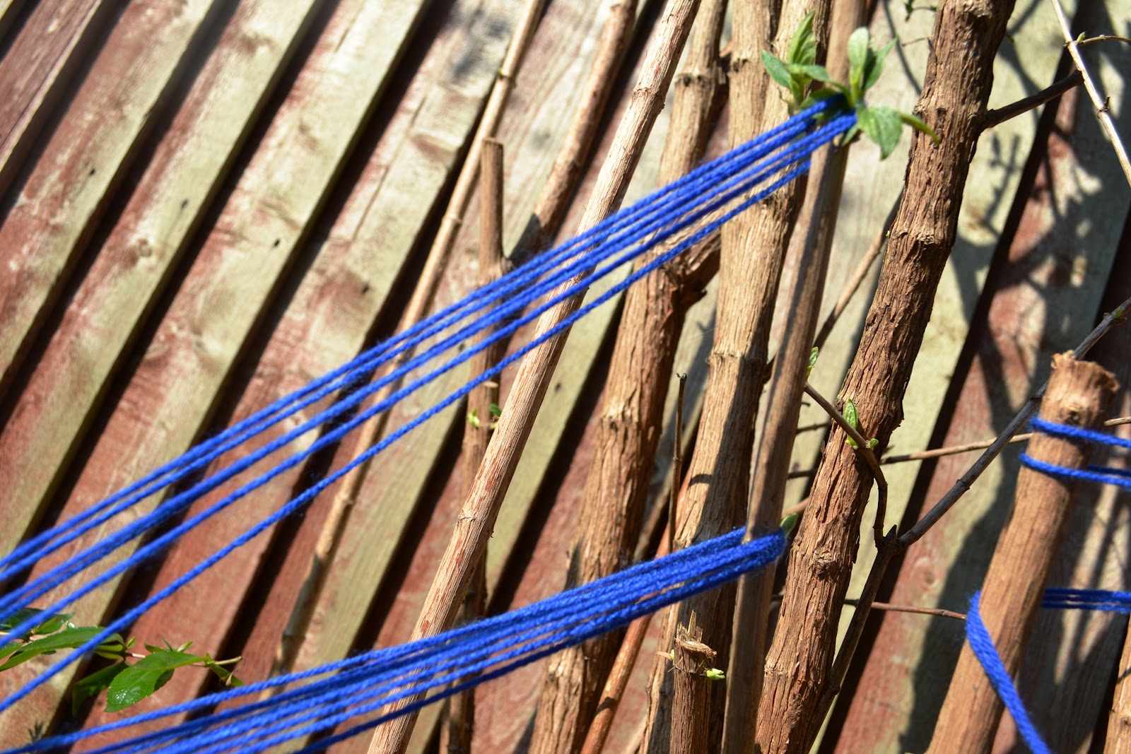 Deceptive Outward Appearance: Live Experiments (Tree Binding--sort of.)