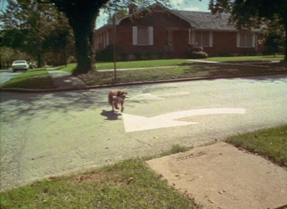 Benji Film Locations