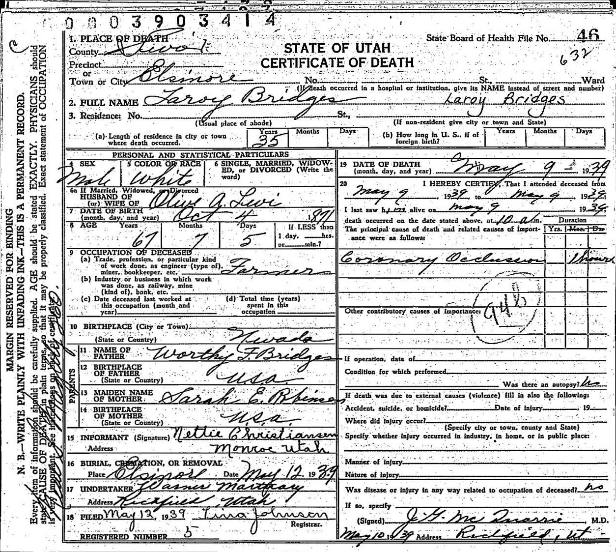Nettie Bridges Family Tree