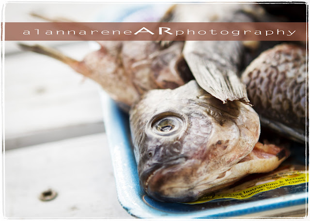 alannarene: Vomit and Fish Heads: Detox Day 2