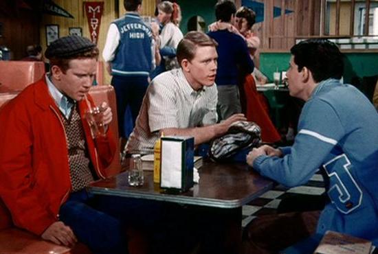 The Flaming Nose: The TV Sidekick Blogathon: Ralph Malph of "Happy Days"