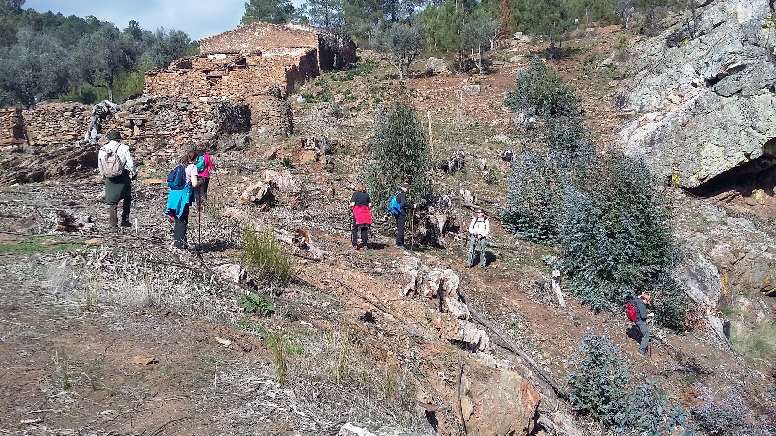 BUCHE: Parque natural de la Sierra de San Mamés (La Rabaza)