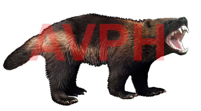 Escenarios prehistóricos: Megalictis