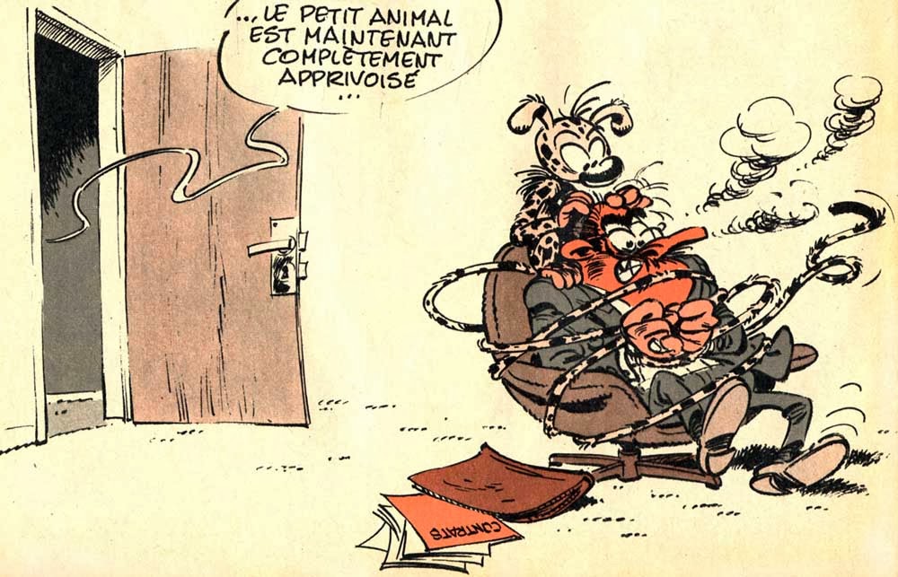 Illustration s'il vous plaît: André Franquin (4)