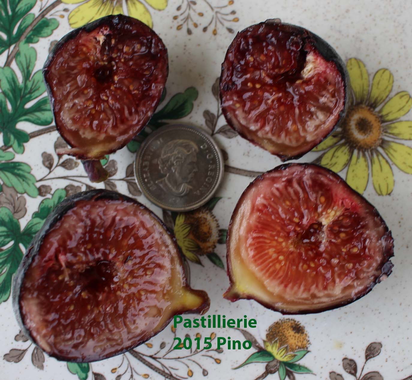 Pastiliere Fig - Var Tin